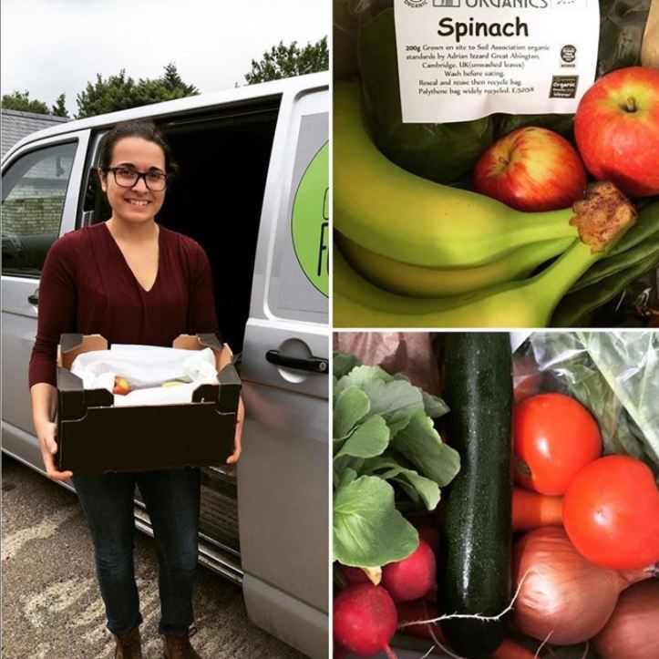 Healthy Start Veg Box Scheme – Creating a better food system for people ...